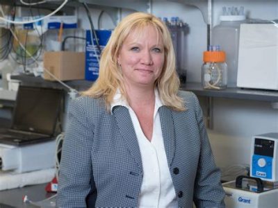 Faculty | Institute of Materials Science